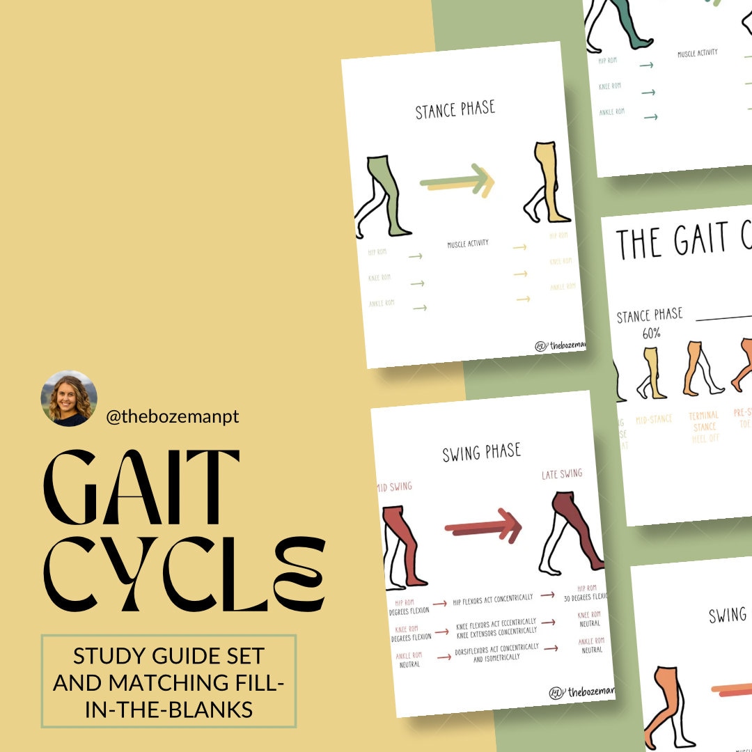 Gait Cycle | Physical Therapy | Occupational Therapy | Study Guide ...