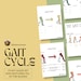 Gait Cycle | Physical Therapy | Occupational Therapy | Study Guide ...
