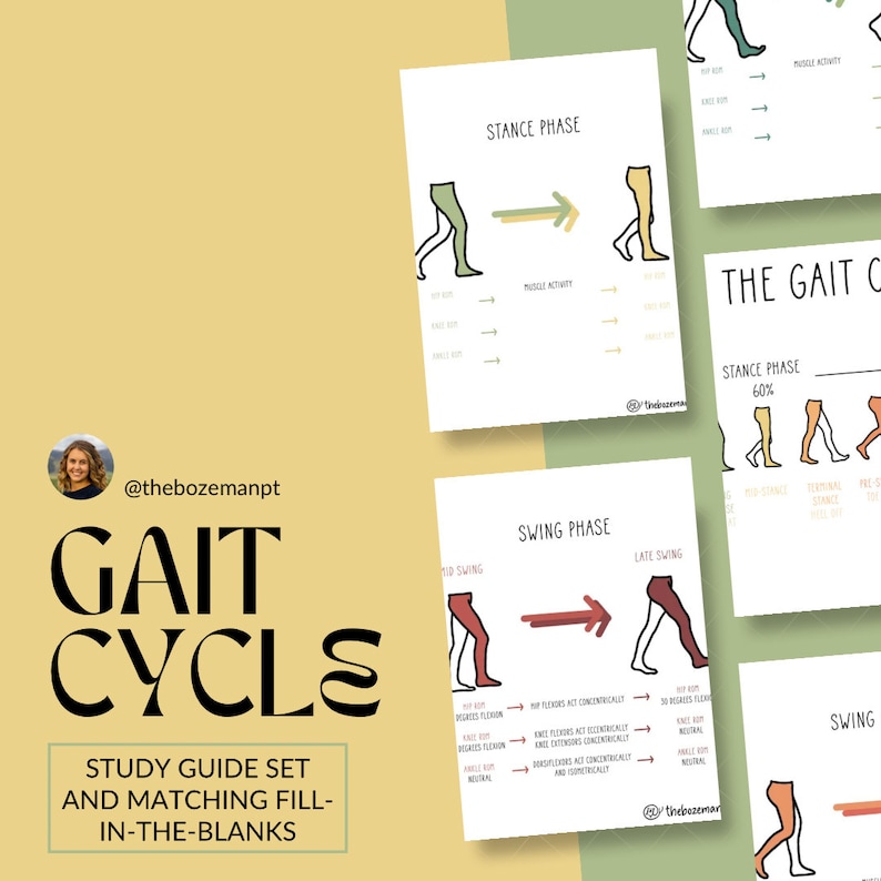 Gait Cycle | Physical Therapy | Occupational Therapy | Study Guide ...