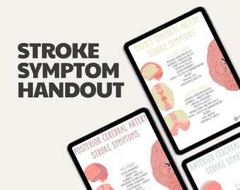 Stroke Symptom and Anatomy Educational Handout - Etsy