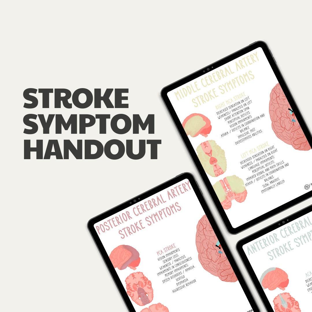 Stroke Symptom and Anatomy Educational Handout - Etsy
