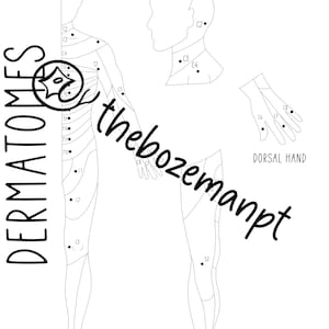 Myotome and Dermatome Handout - Study Guide - Physical Therapy - Med ...