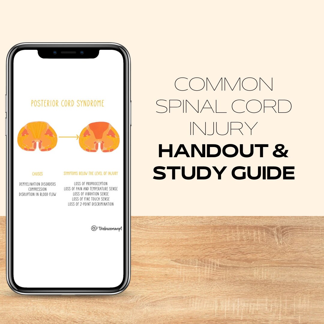Common Spinal Cord Injuries Handout and Study Guide - Etsy