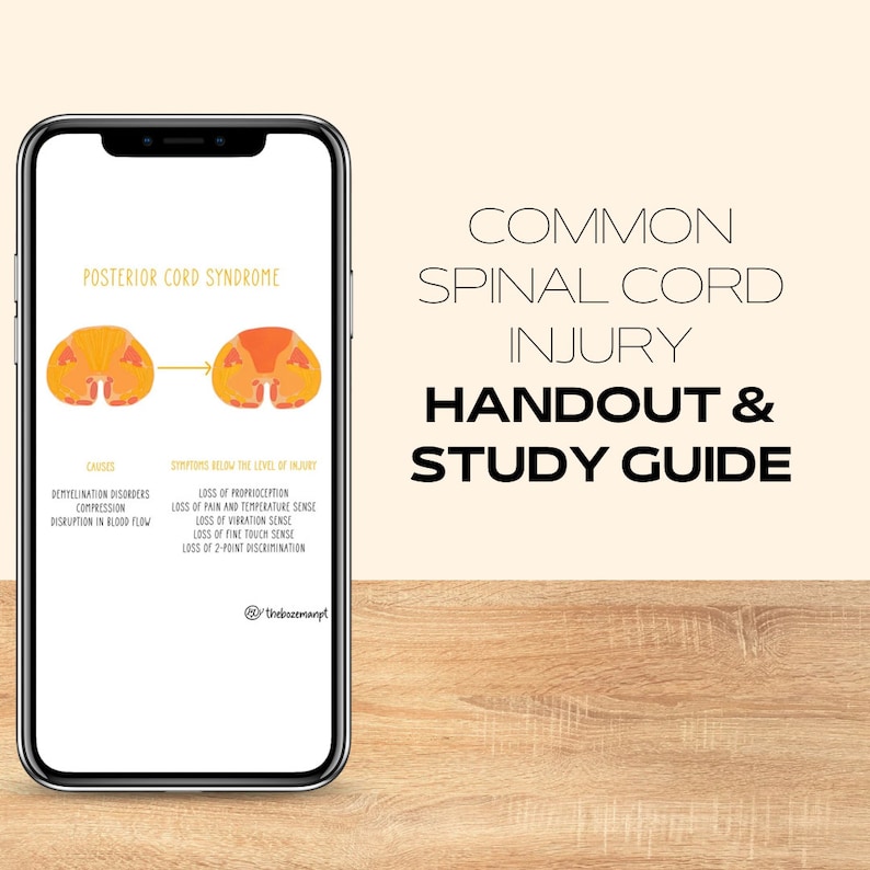 Common Spinal Cord Injuries Handout and Study Guide - Etsy