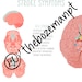 Stroke Symptom and Anatomy Educational Handout - Etsy