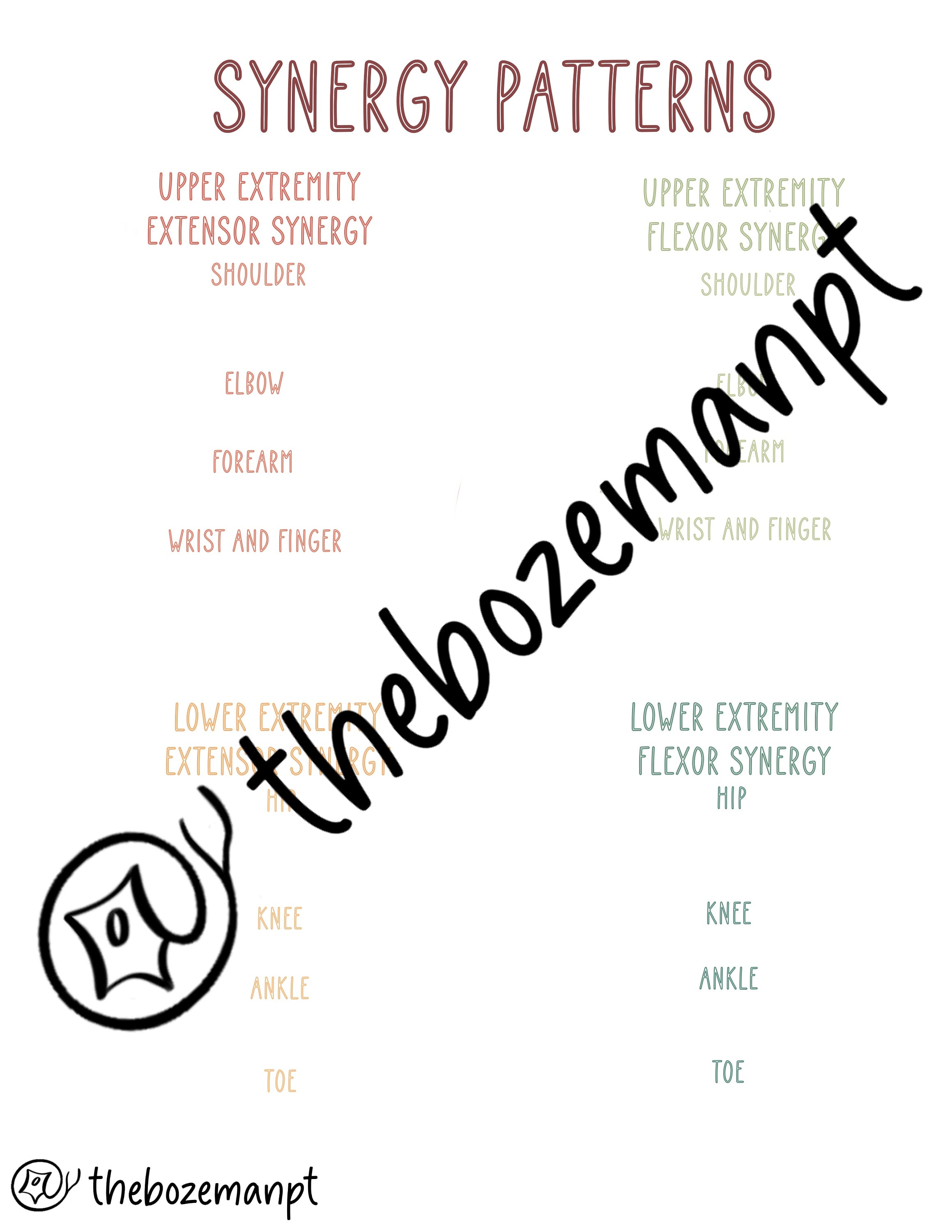 Stroke Synergy Patterns Handout and Study Guide for Physical Therapists ...