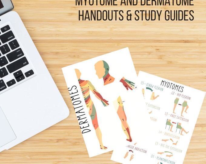 Myotome and Dermatome Handout Study Guide Physical Therapy Med Student ...