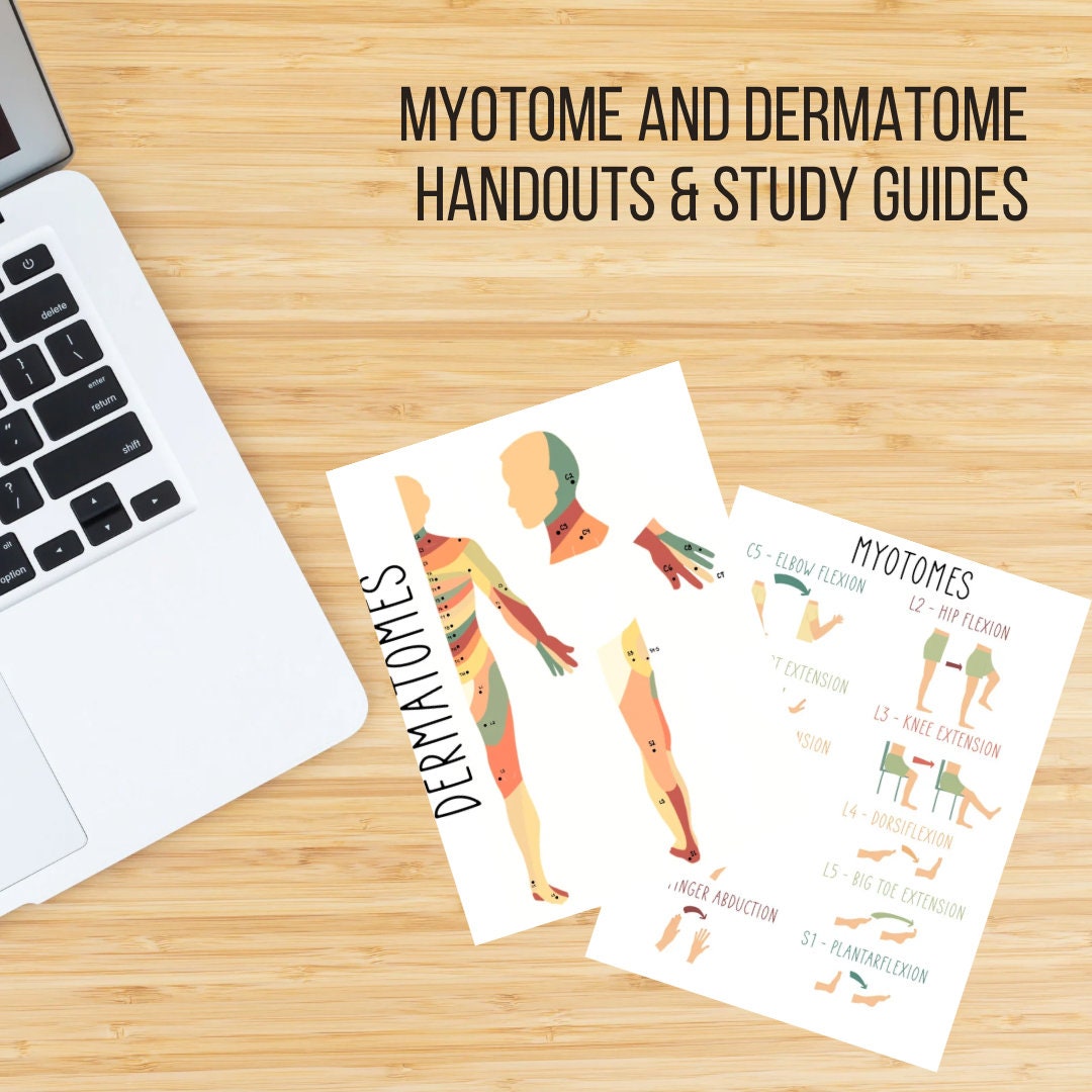 Myotome and Dermatome Handout - Study Guide - Physical Therapy - Med ...