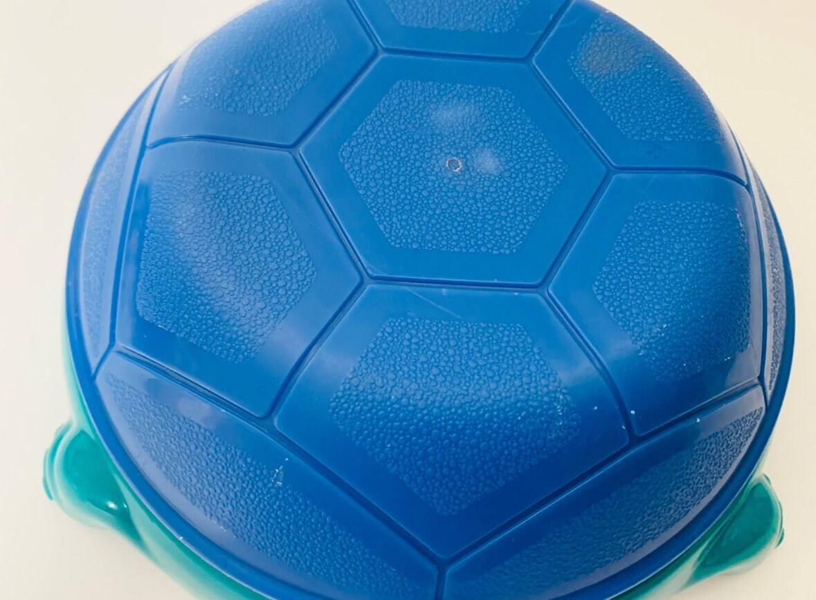 Vintage Rubbermaid Divided Turtle Kids Plate With Bowl Lid Sandbox ...