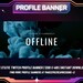 Twitch Profile Banner, Gamer Profile Banner, Neon Profile Display ...