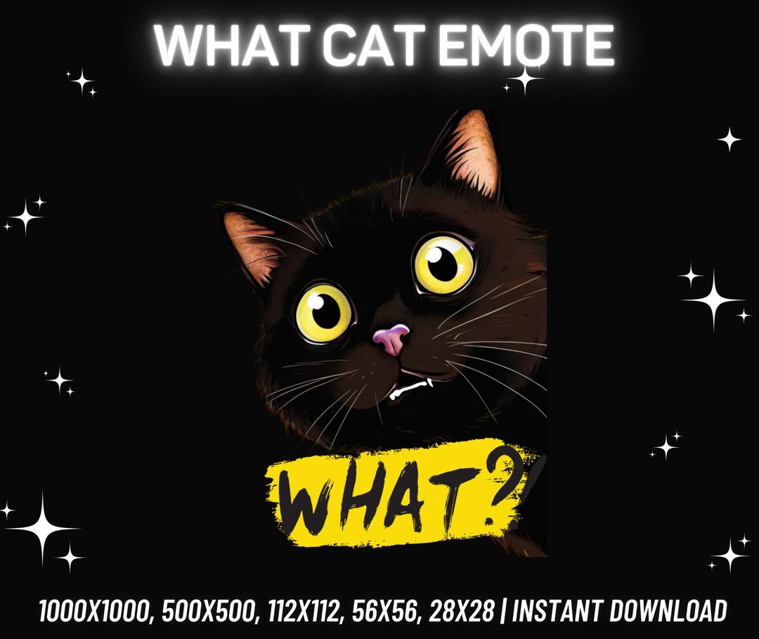 What Cat Emote | Twitch Emote | Kick Emote | Discord Emote | Youtube ...