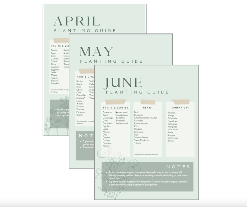 Yearly Planting Guide - Monthly Gardening Guide for Southern California ...