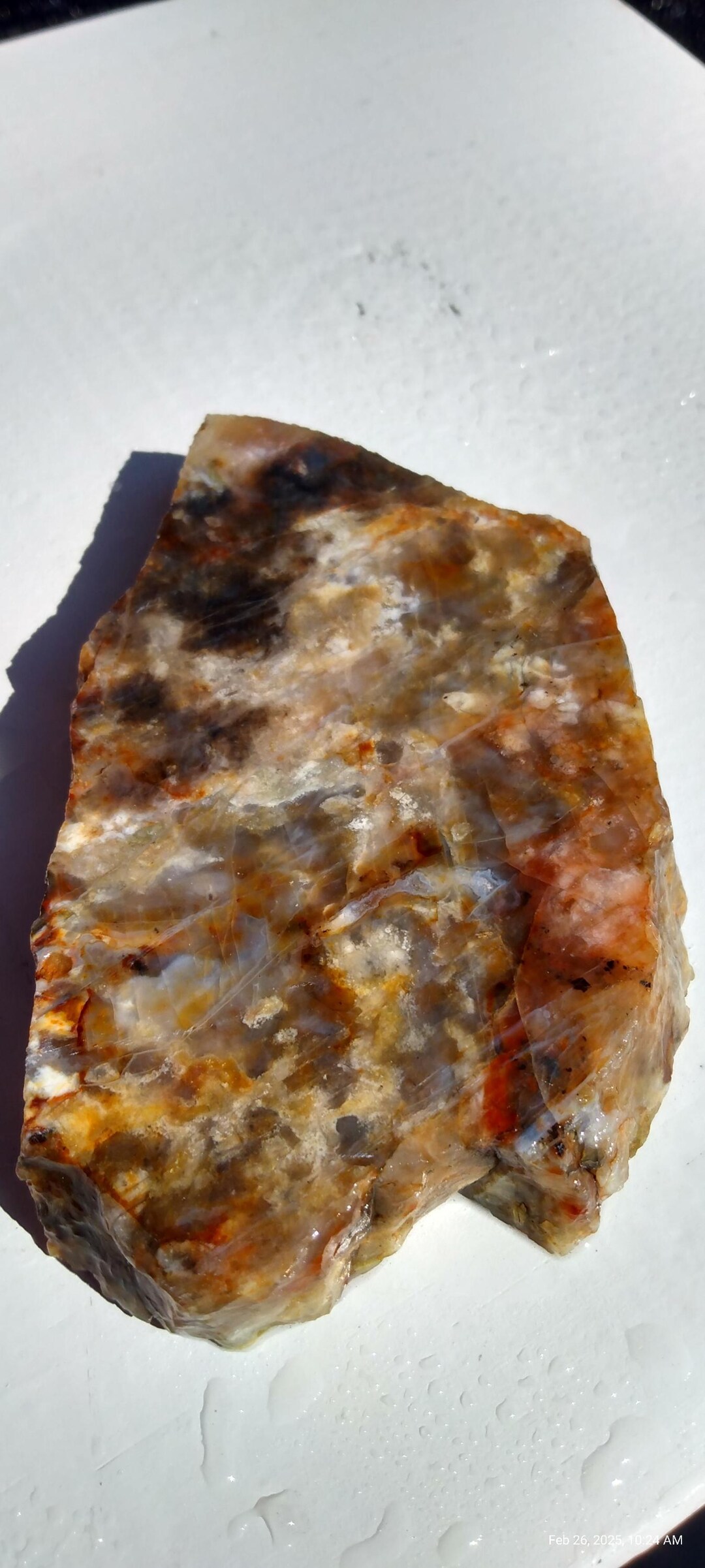 Unique California Jasper,petrified Wood, Bog,vegetation Slab. Awesome ...