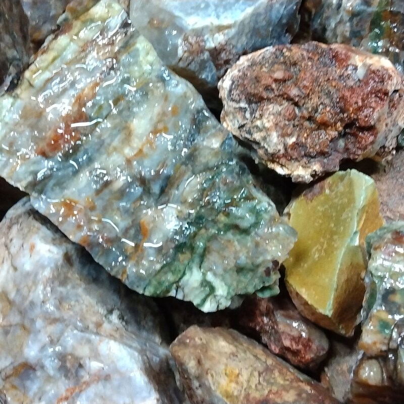 Petrified Wood - Etsy