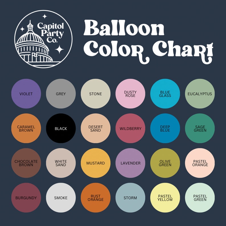 DIY Luxury Balloon Arch Kit 80pcs Custom Trendy Colors Boho Baby Shower ...