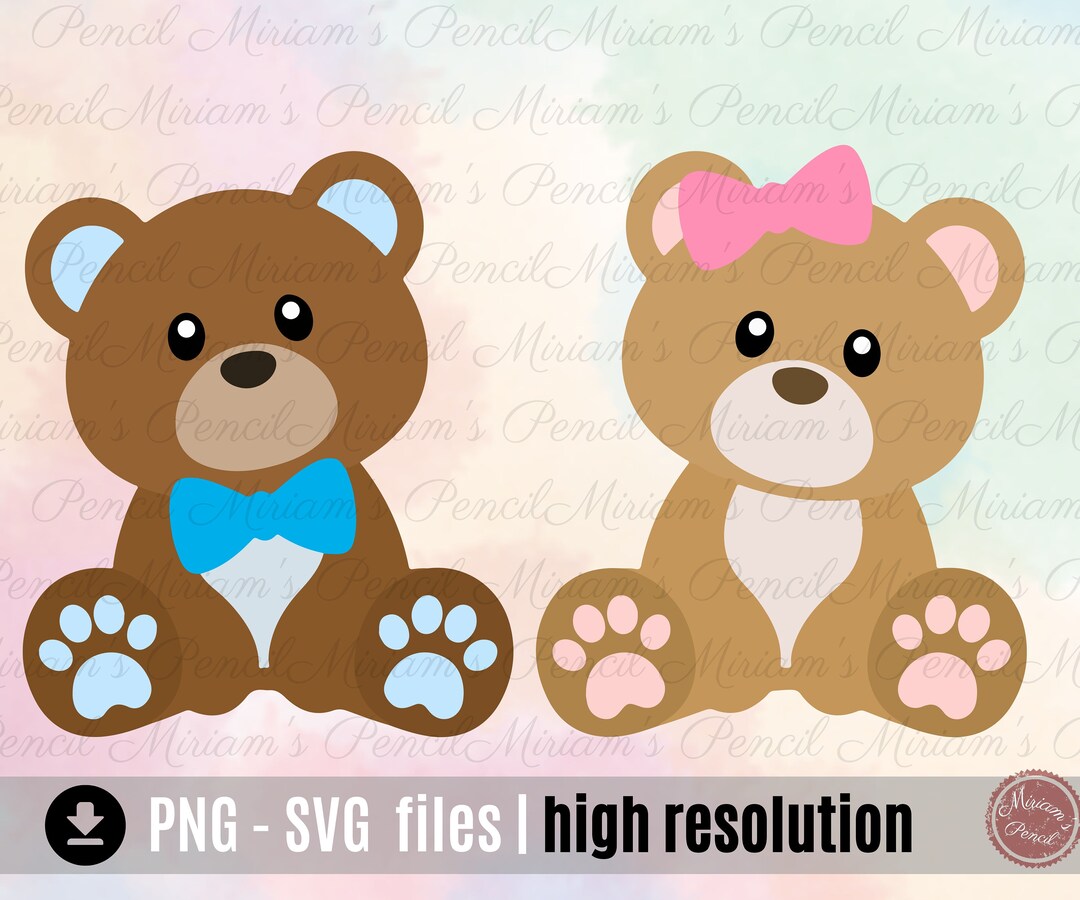 Teddy Bear Design PNG SVG, Cricut Cut Files, Silhouette, Sublimation ...