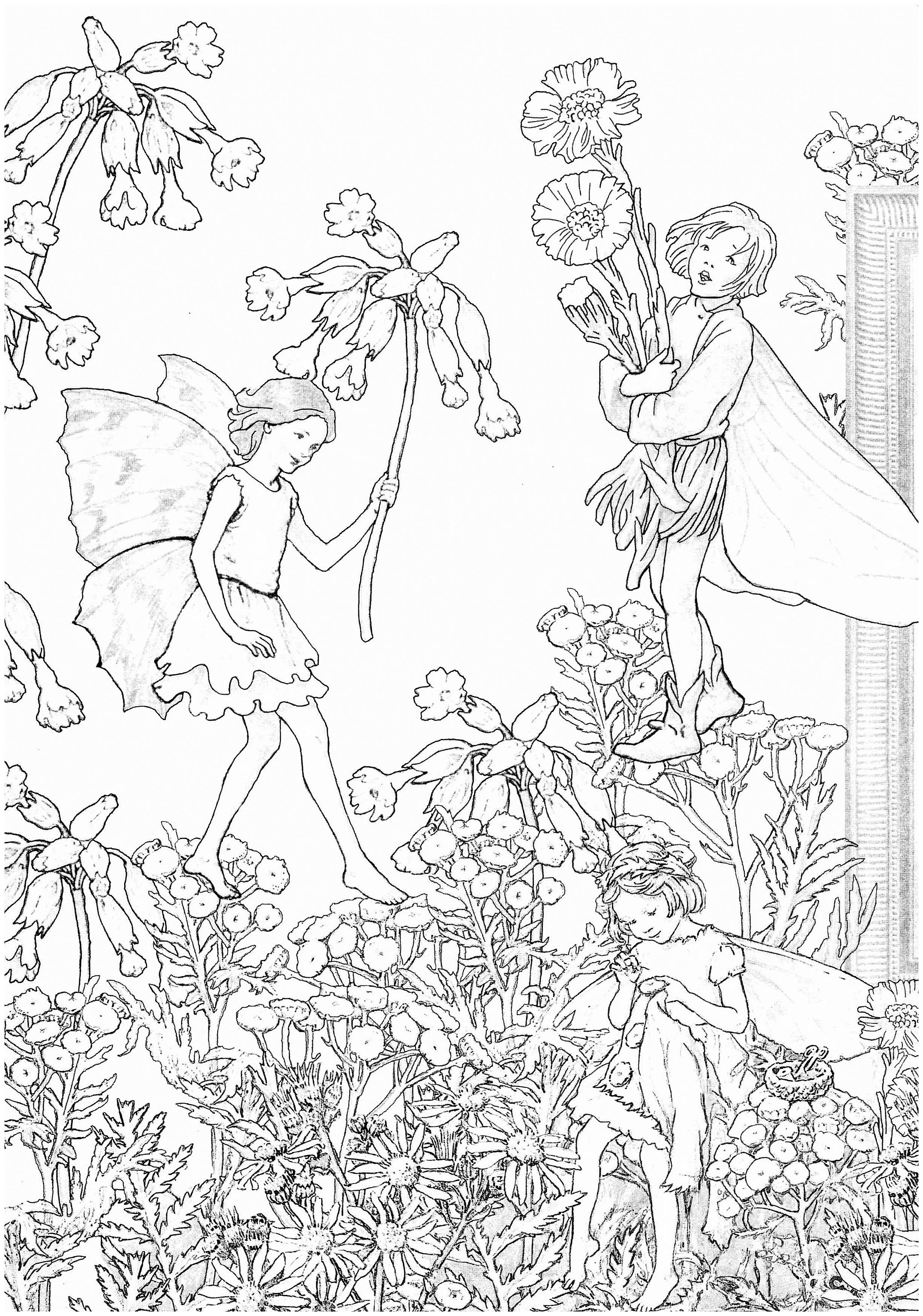 Flower Child Fairies Coloring Set, Printable Digital Download, Adults ...