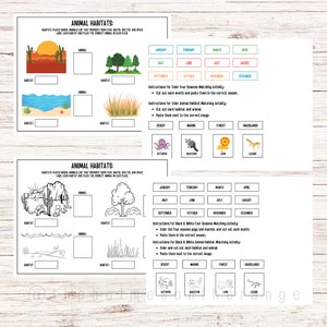 Letter C Creation Kids Bible Crafts | Genesis 1 Kids Bible Lesson ...