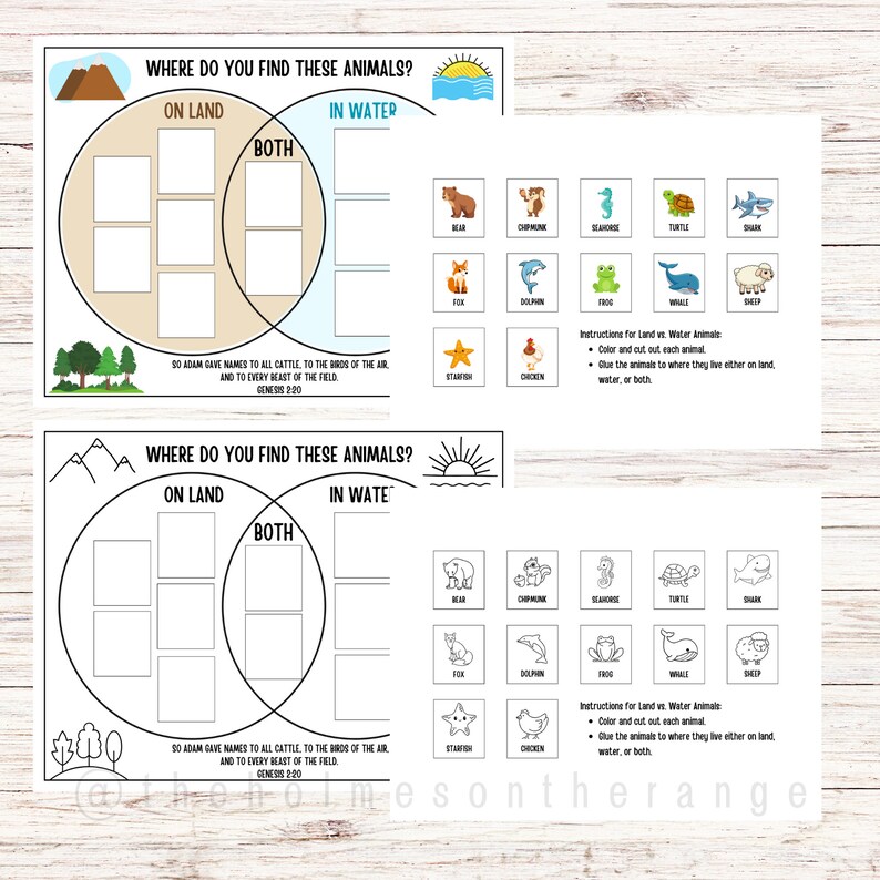 Letter C Creation Kids Bible Crafts Genesis 1 Kids Bible Lesson Memory ...