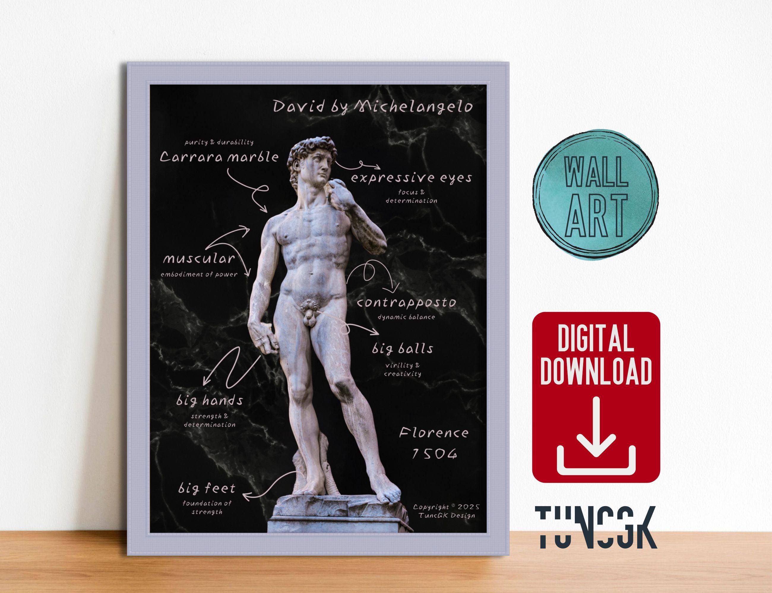Michelangelo David Infographic Poster | Renaissance Sculpture (digital ...