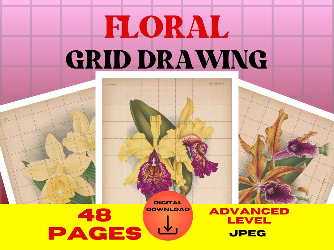 Grid Drawing Exercise Worksheets for MASTERING Floral Illustration ...