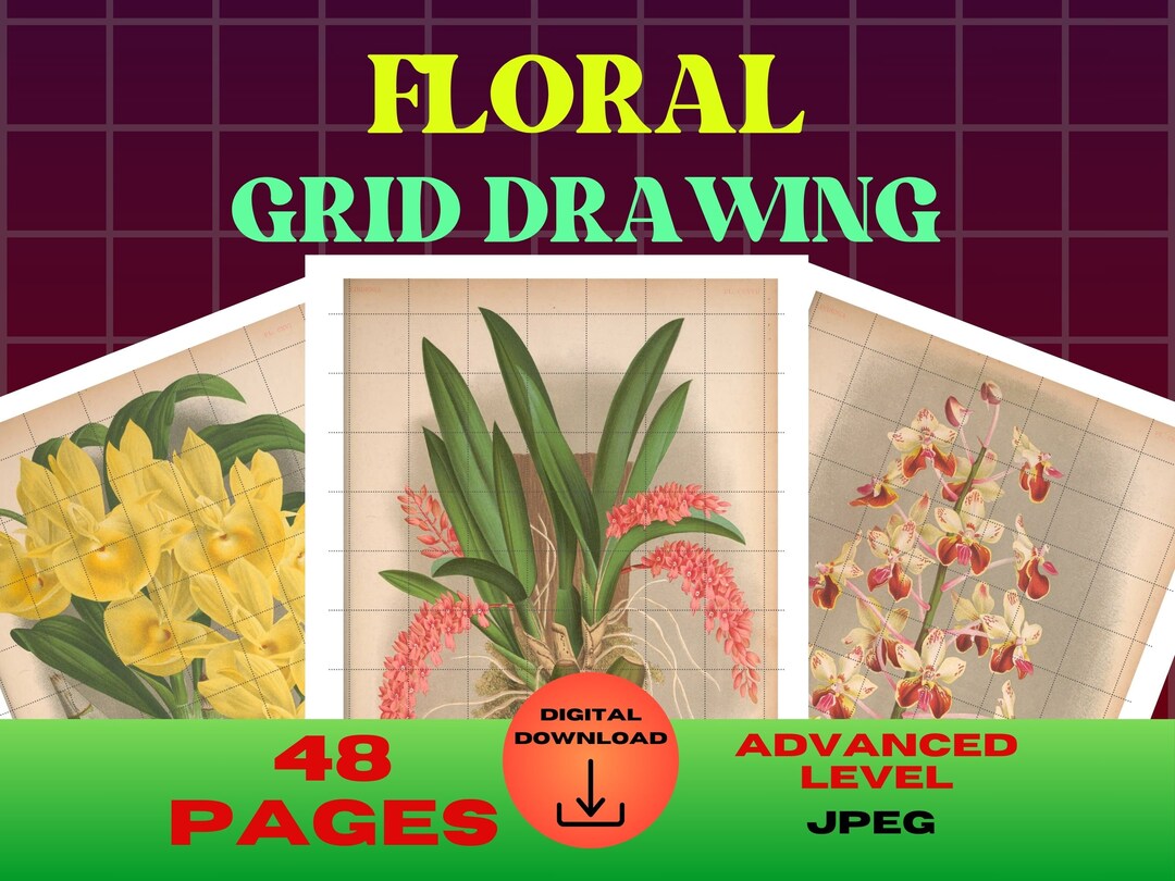 Grid Drawing Exercise Worksheets for MASTERING Floral Illustration Set ...