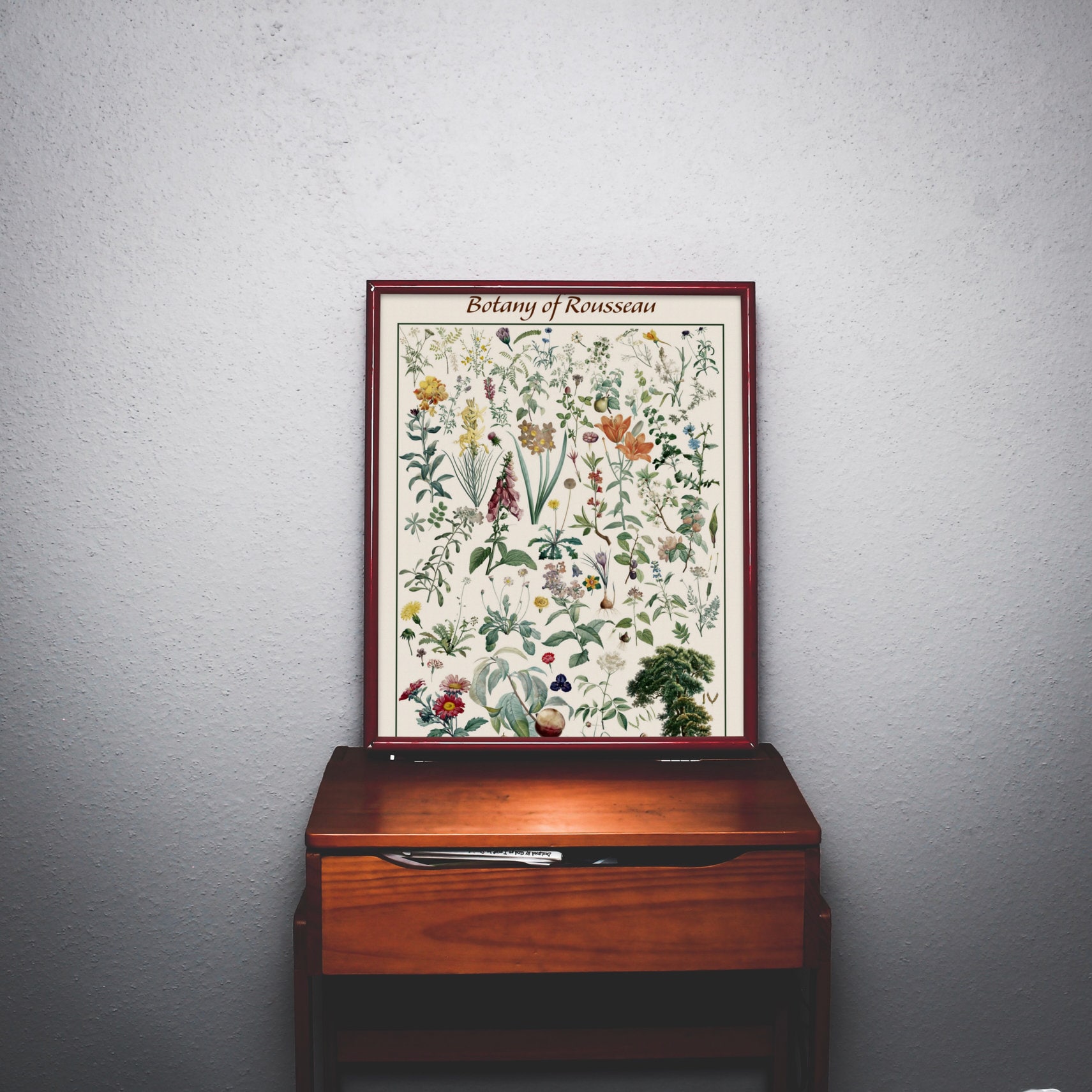 Plant Flower Collage Wall Art, Visual Compendium Printable Digital ...