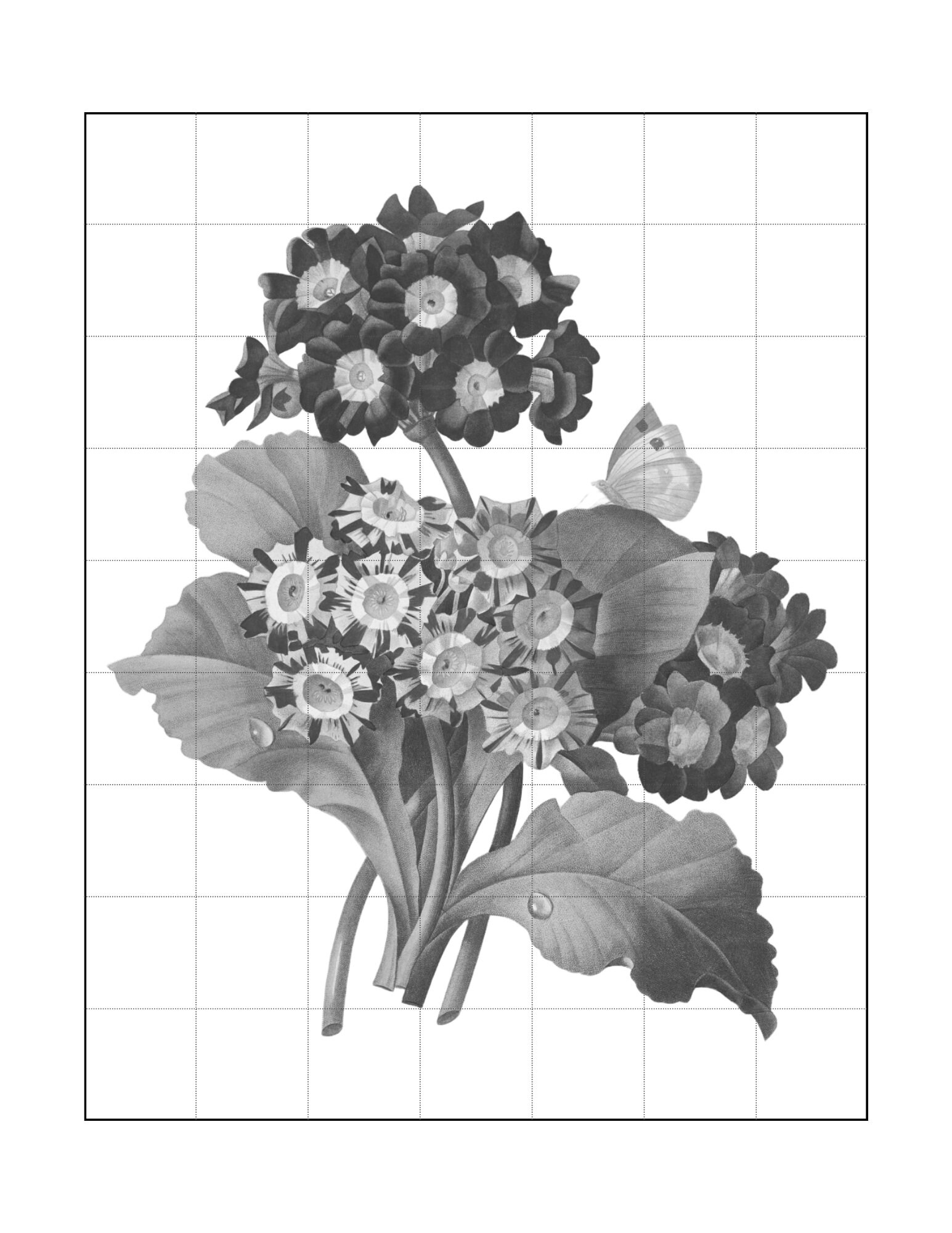Grid Drawing Exercise Worksheets for Improving Floral Illustration ...