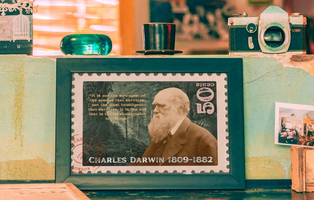 Vintage Stamp Poster Printable, Wall Art, Charles Darwin, Instant ...