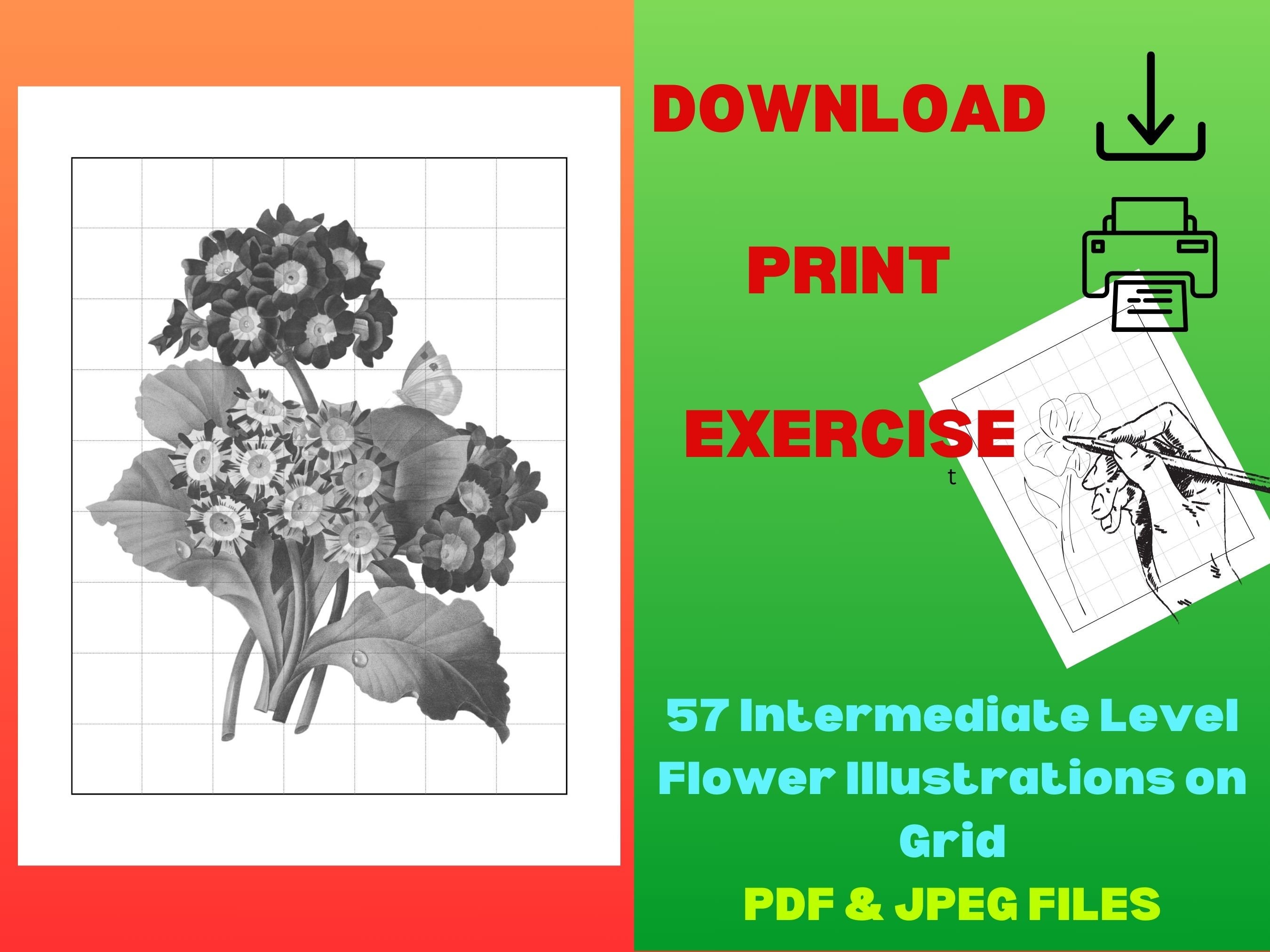 Grid Drawing Exercise Worksheets for Improving Floral Illustration ...