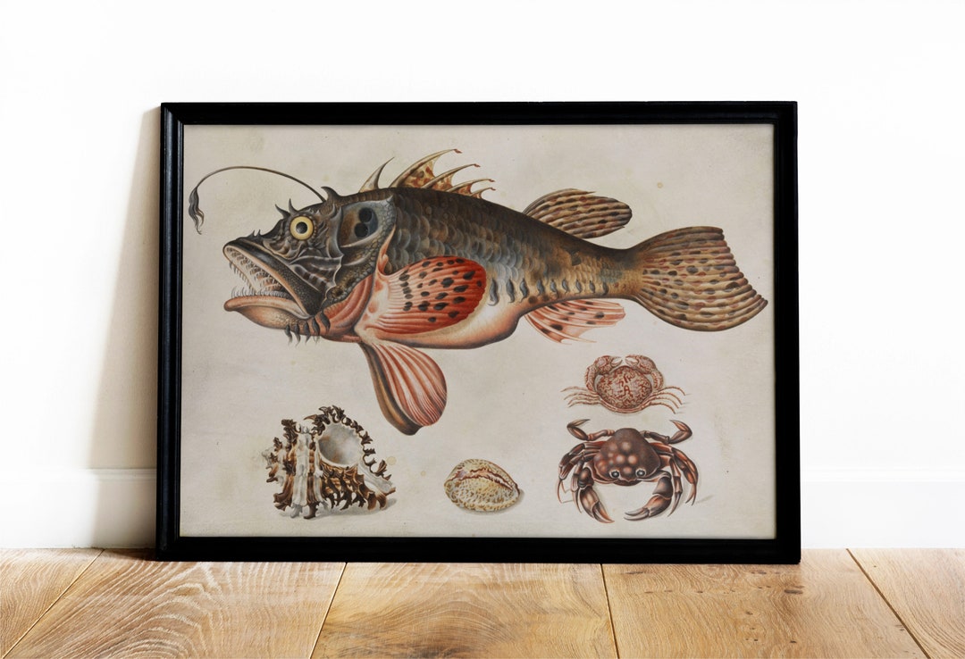 Printable Wall Art, Devil Fish, Crab, Seashell, Vintage Art Poster ...