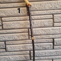 Irish Blackthorn Walking Stick | Cane Irish | Wood Hiking Cane ...
