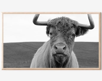 Highland Coo Walking Digital Print - Etsy