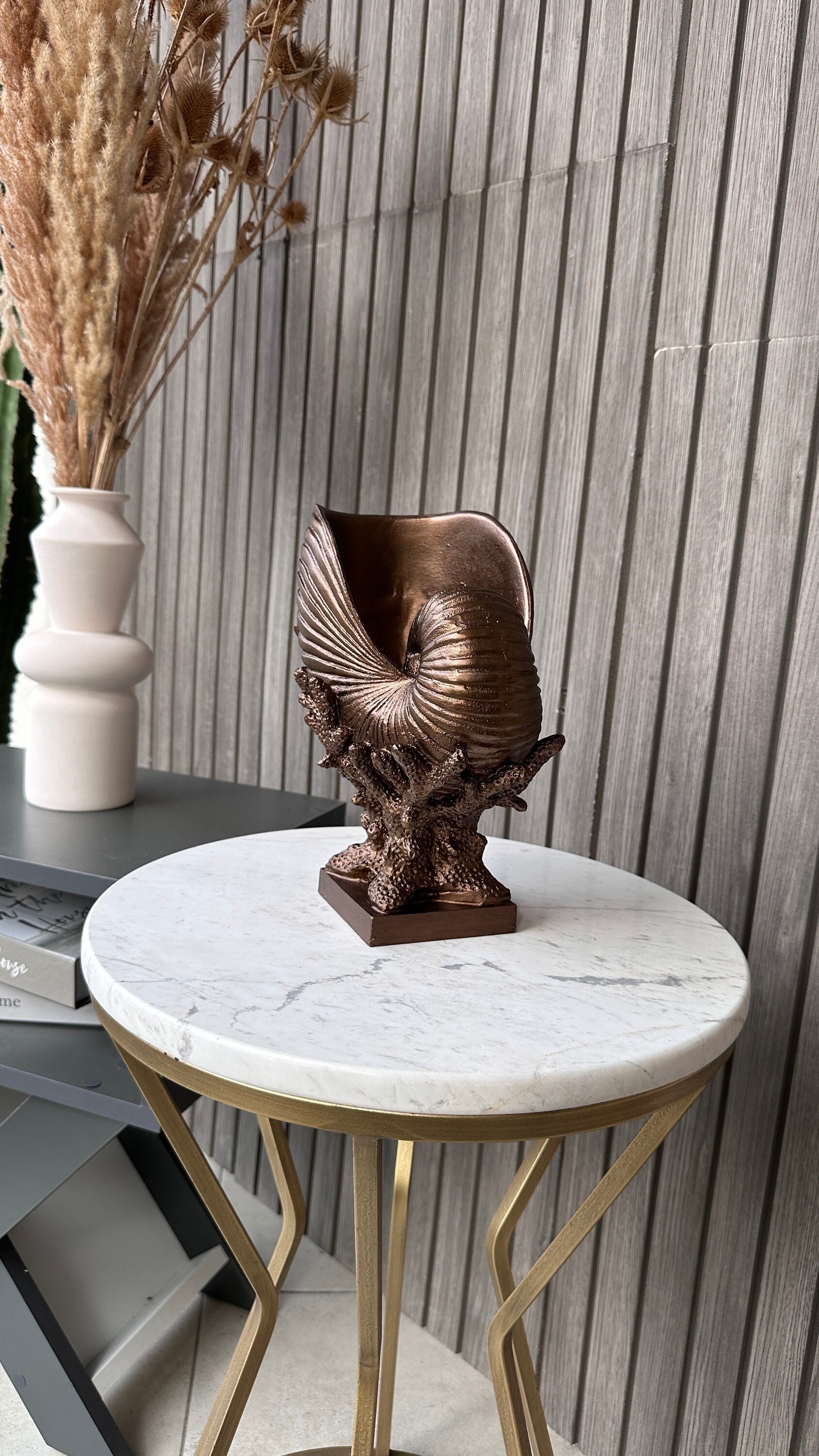 Fascinating Seashell Sculpture on Coral, Seashell on Coral Sculpture ...