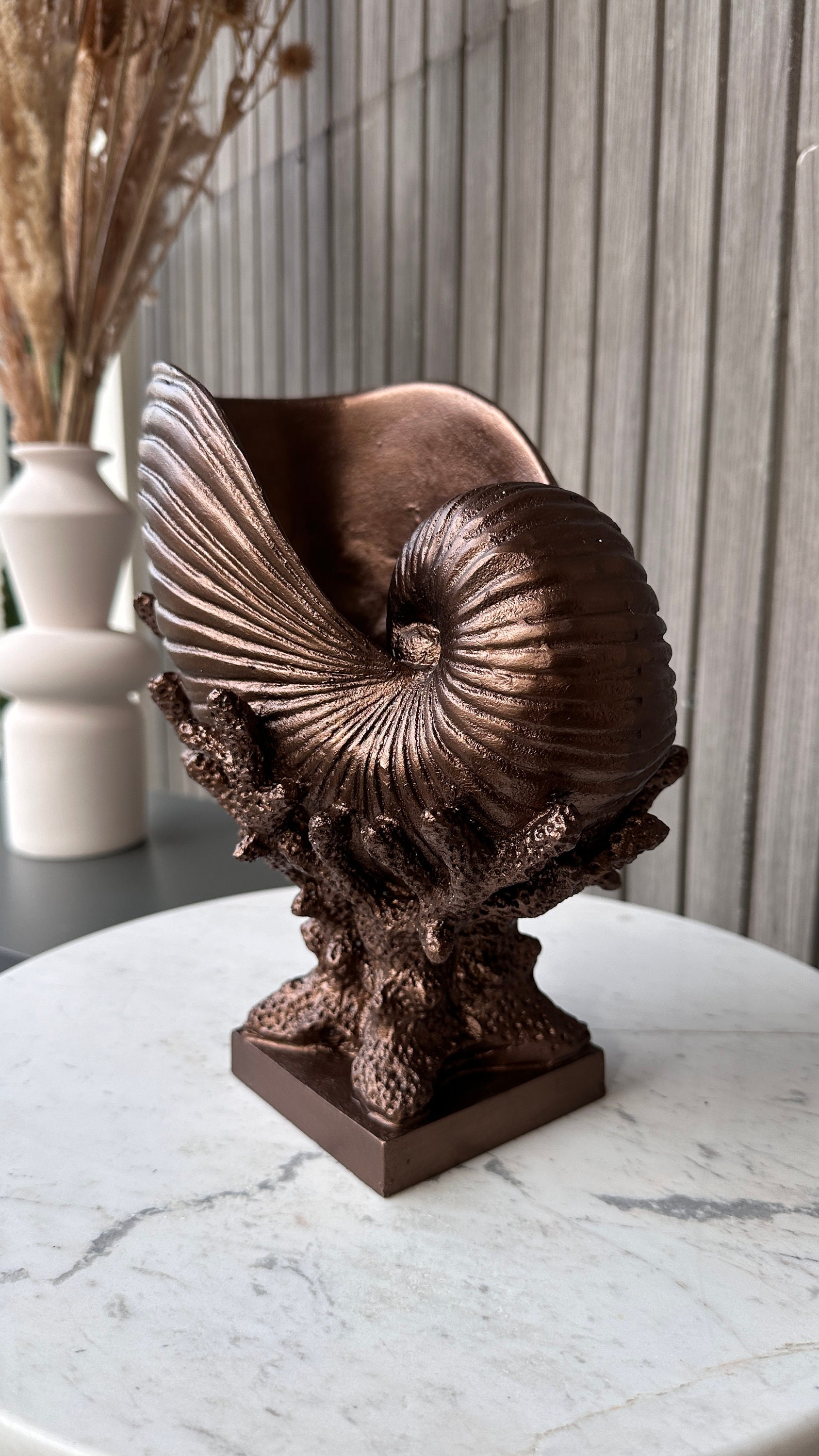 Fascinating Seashell Sculpture on Coral, Seashell on Coral Sculpture ...