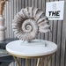 Large Sea Shell Sculpture, Sea Shell Statue, Conch Sculpture, Conch ...