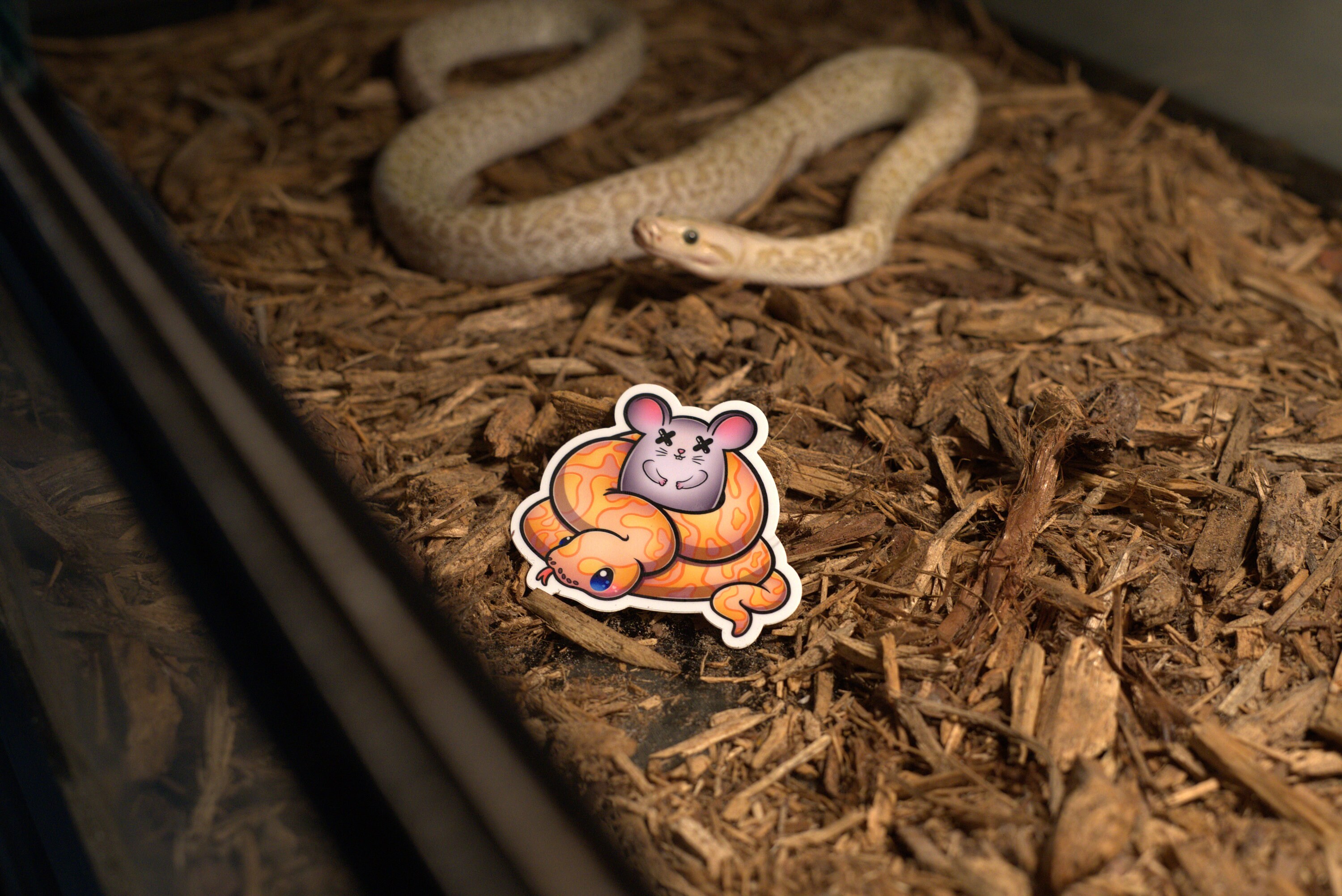 Adorable Ball Python and Mouse 3 Vinyl Sticker Reptile - Etsy