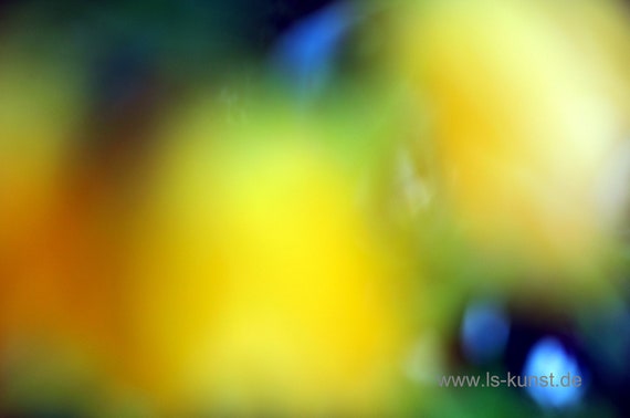 Yellow Green Things In Nature