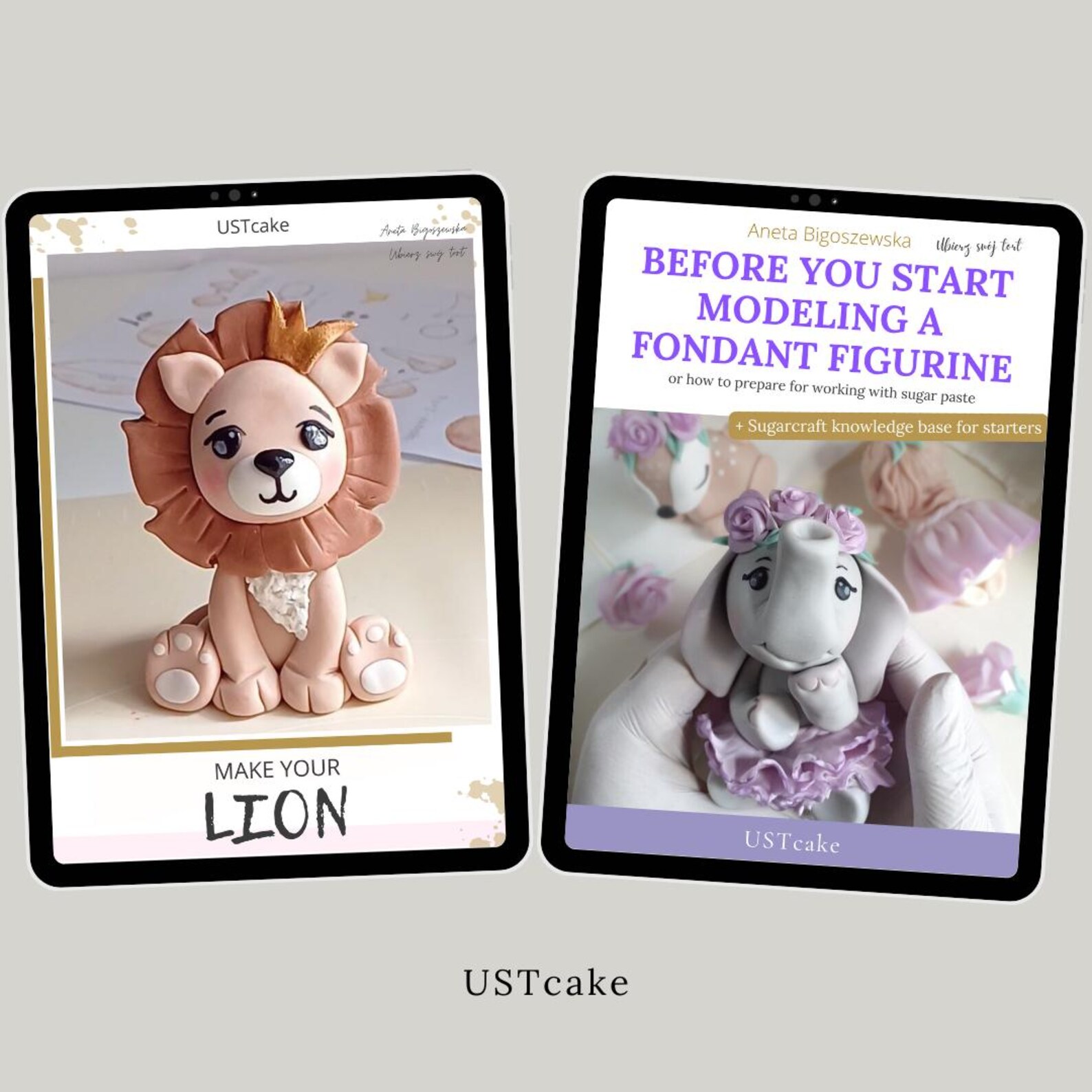 Fondant Kit - Lion Tutorial + E-book on the Basics of Fondant Modeling ...