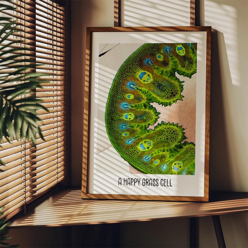 Plant Cell - Etsy