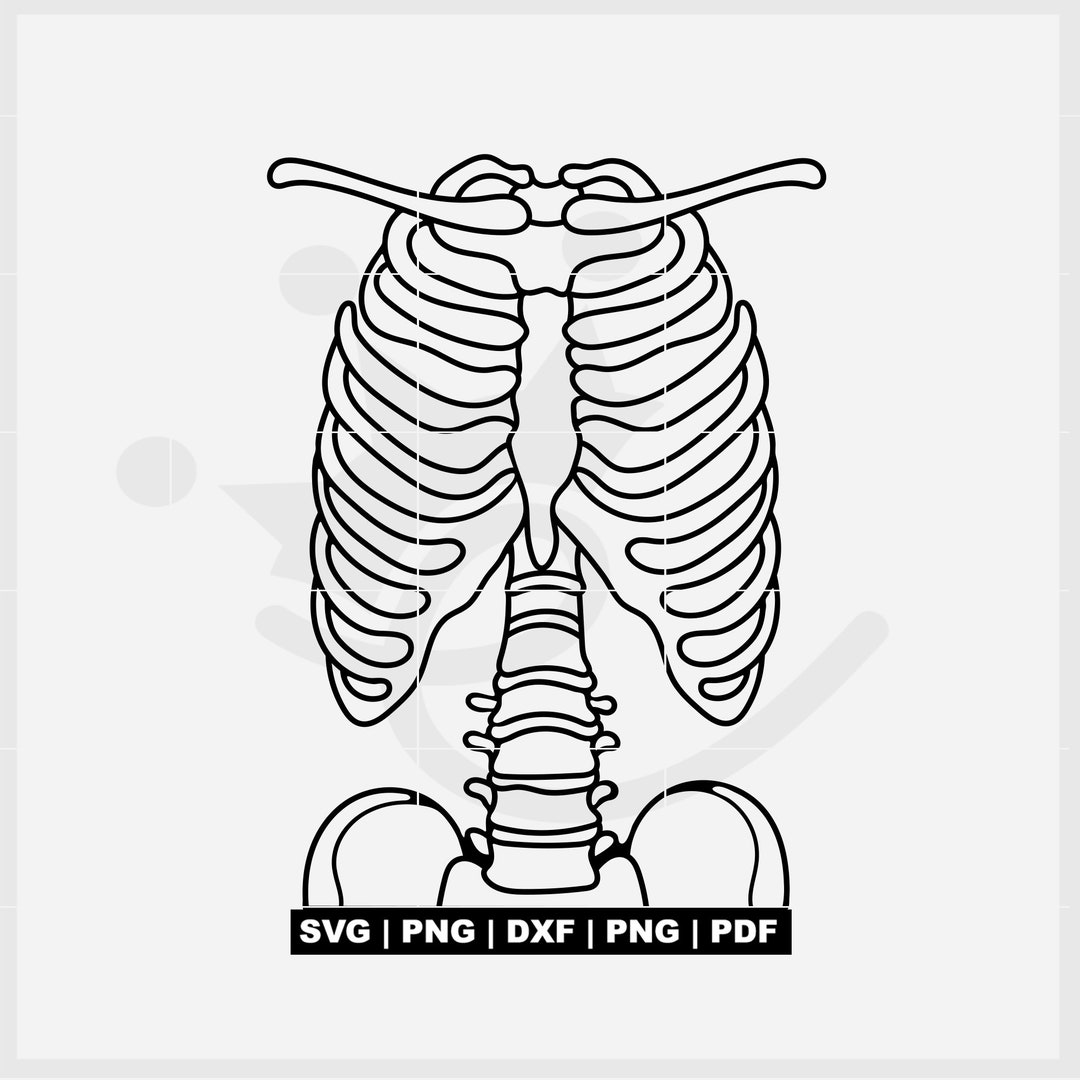 Ribcage SVG Rib Cage Outline Front Ribcage Chest Skeleton - Etsy
