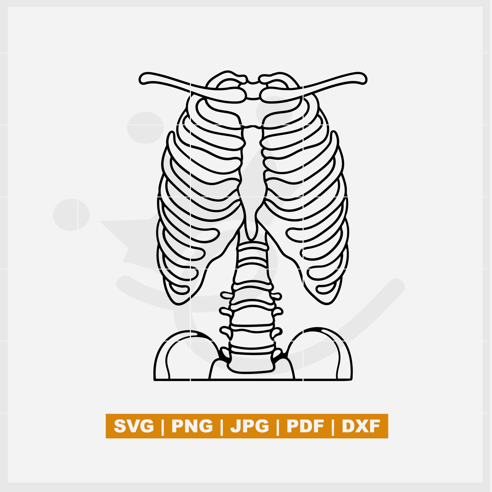 Ribcage SVG, Rib Cage Outline, Front Ribcage, Chest Skeleton SVG ...