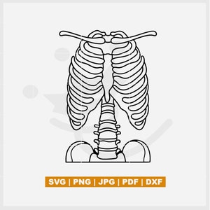 Ribcage SVG, Rib Cage Outline, Front Ribcage, Chest Skeleton SVG ...