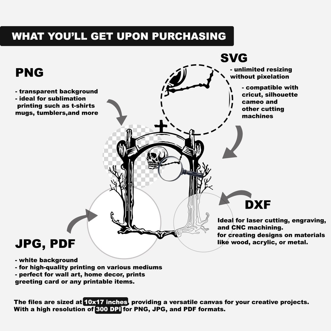 Skull Frame SVG, Skull Svg, Banner With Skull Svg, Skull Head Svg ...