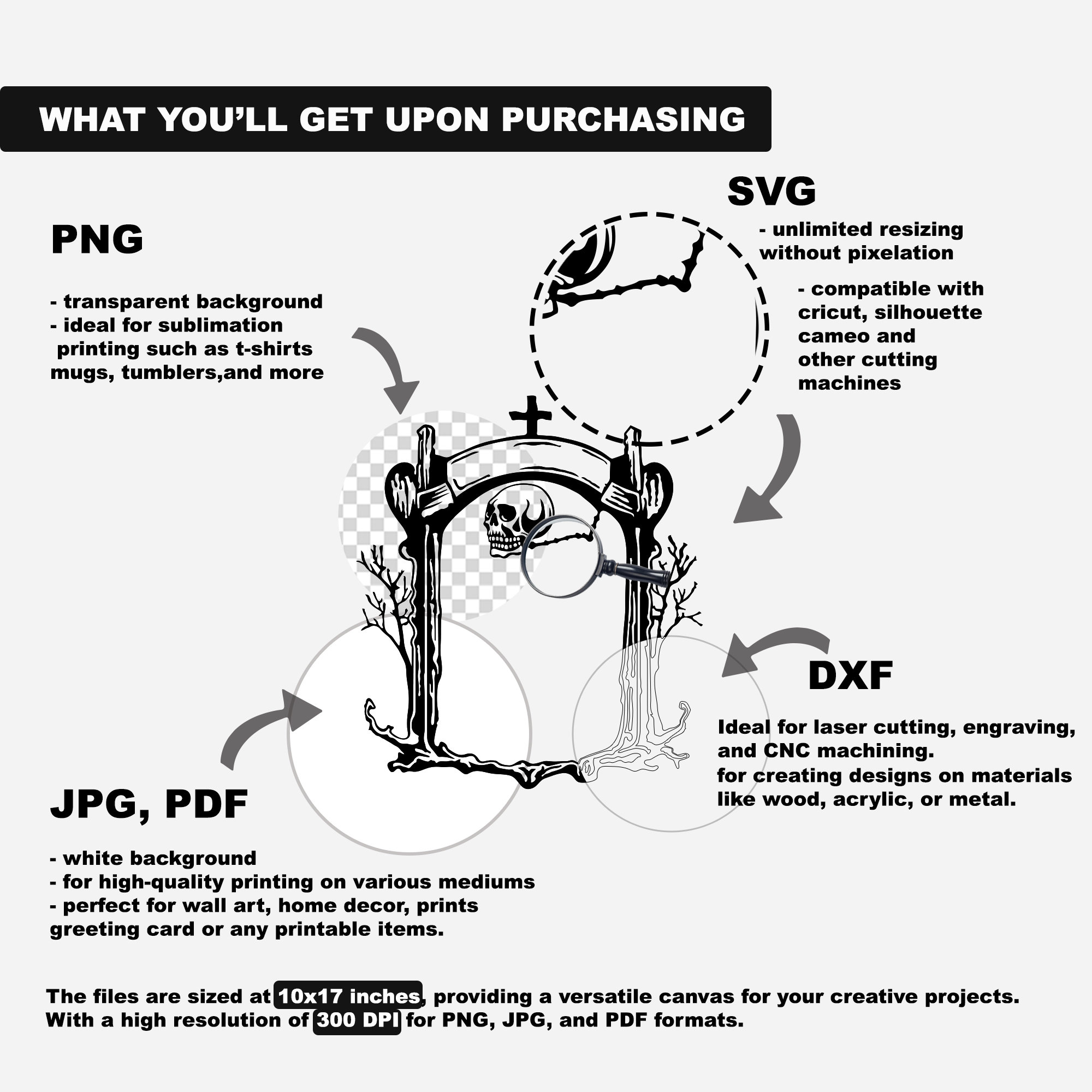 Skull Frame SVG, Skull Svg, Banner With Skull Svg, Skull Head Svg ...