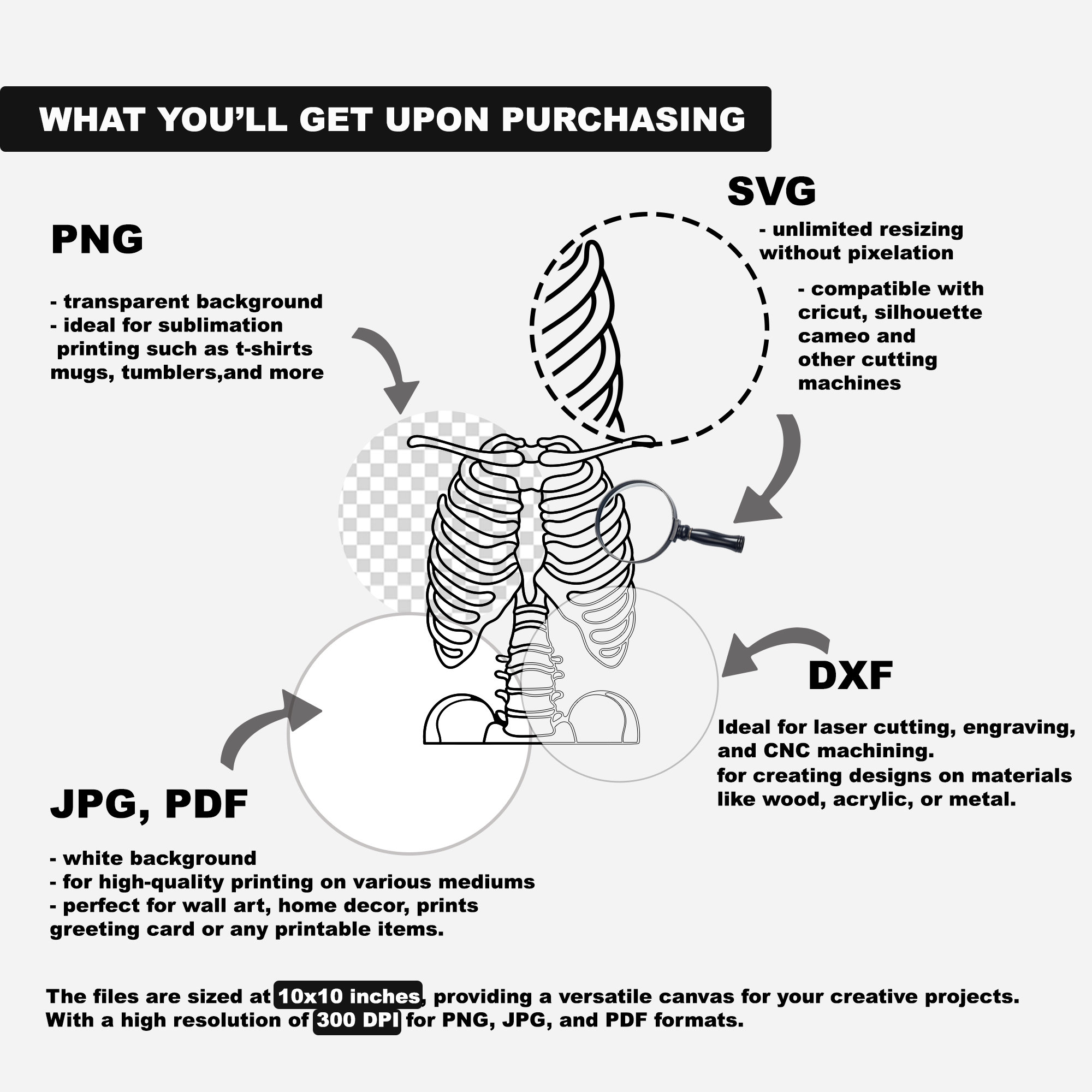 Front and Back Ribcage SVG, Rib Cage Outline, Front Ribcage, Chest ...