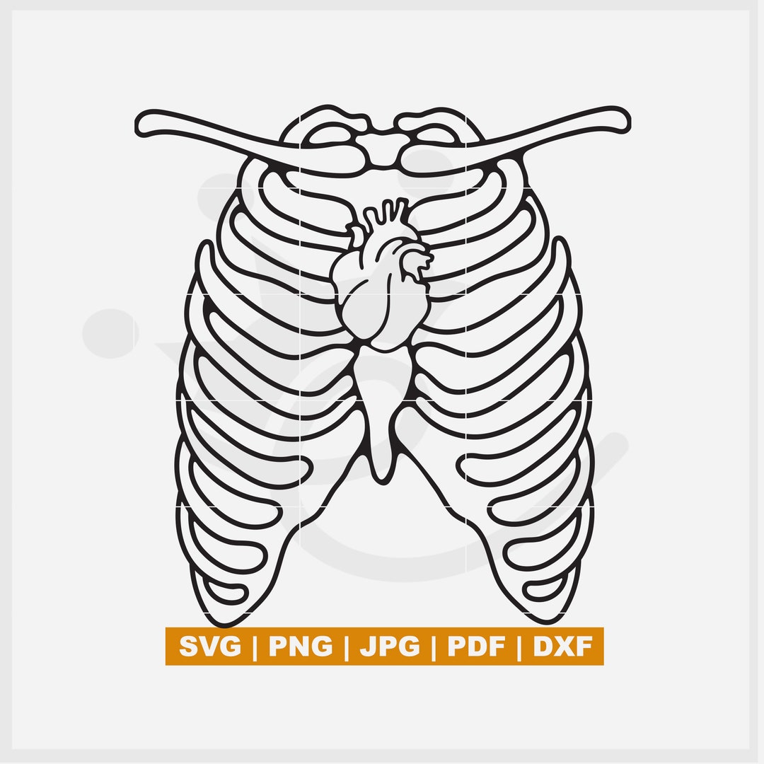 Ribcage Svg, Ribcage With Heart Svg, Skeleton Svg, Ribcage Cricut Cut ...