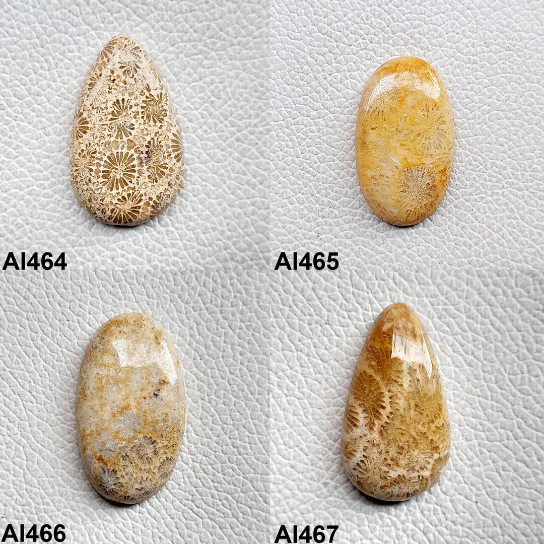 Loose Fossil Coral Stone, Natural Fossil Coral Gemstone, Fossil Coral ...