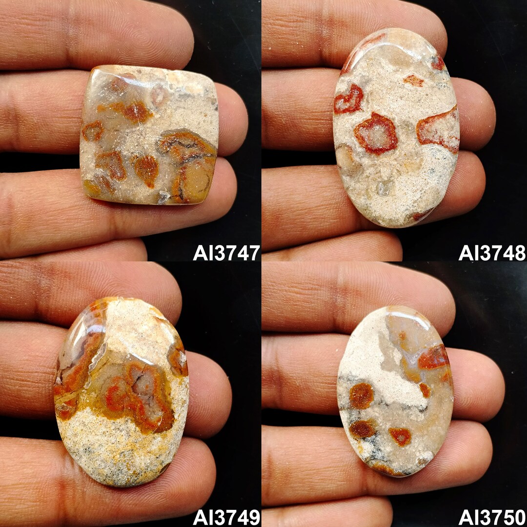 Natural Bird Eye Jasper Stone, Bird Eye Jasper Cabochon, Bird Eye ...