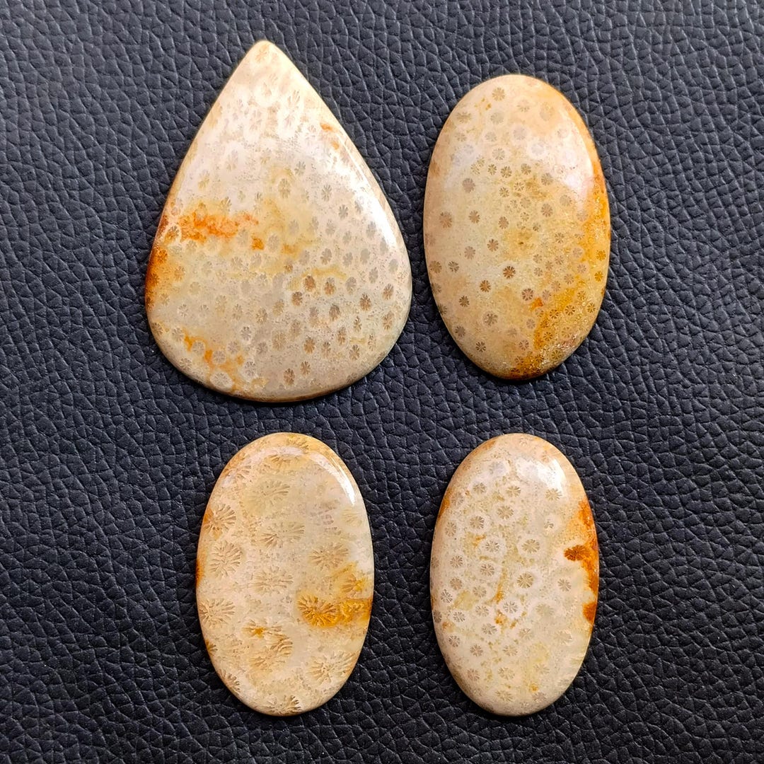 Fossil Coral Cabochon, Natural Fossil Coral Stone, Fossil Coral Healing ...
